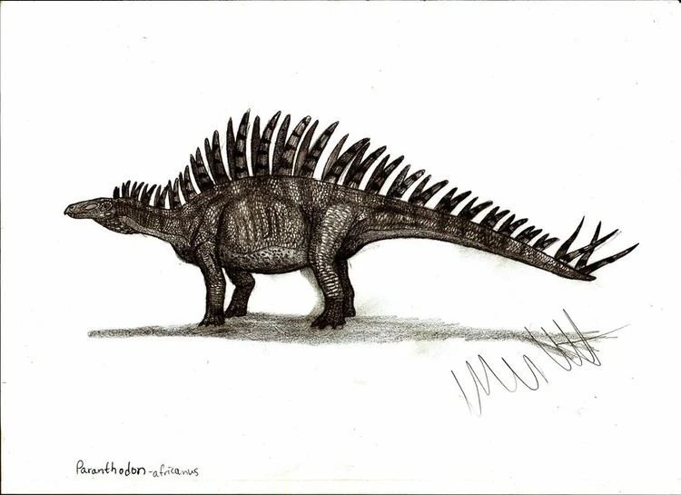 Парантодон | Вымершие животные вики | Fandom