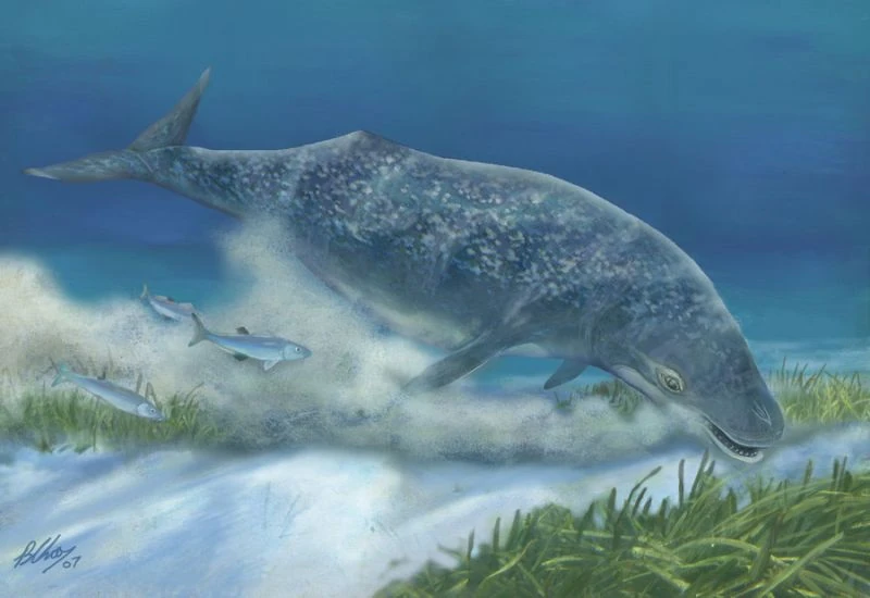 Маммалодон | Вымершие животные вики | Fandom