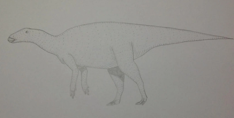 Цзоюньлун | Вымершие животные вики | Fandom