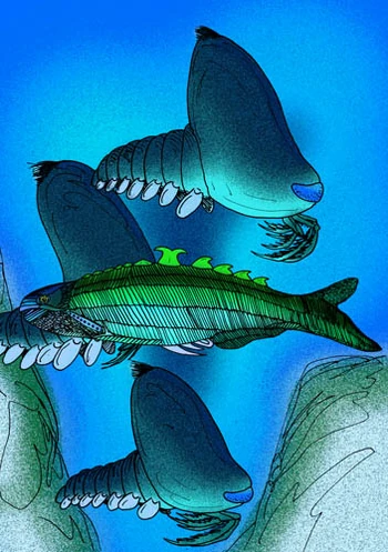 Биркения | Вымершие животные вики | Fandom