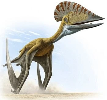 Волгадрако | Вымершие животные вики | Fandom