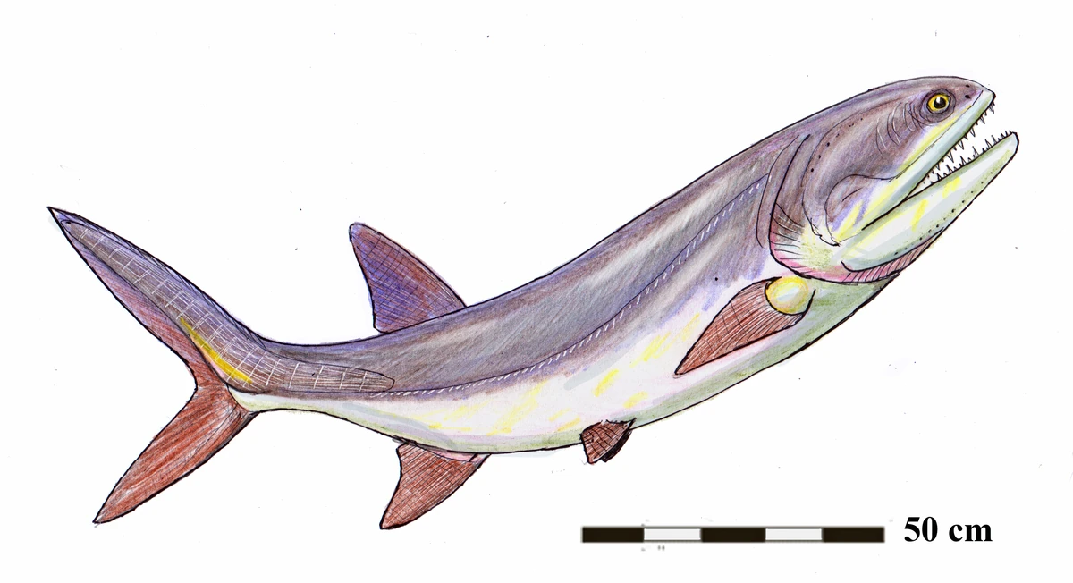 Биргерия | Вымершие животные вики | Fandom