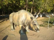 Хилотерий | Вымершие животные вики | Fandom