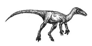 Авип | Вымершие животные вики | Fandom