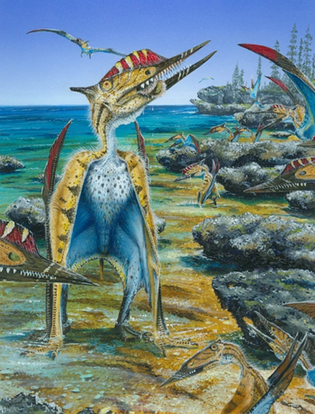 Нориптер | Вымершие животные вики | Fandom