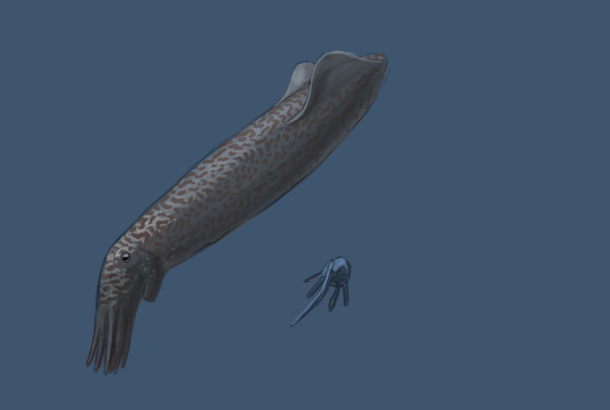 Энхотевтис | Вымершие животные вики | Fandom