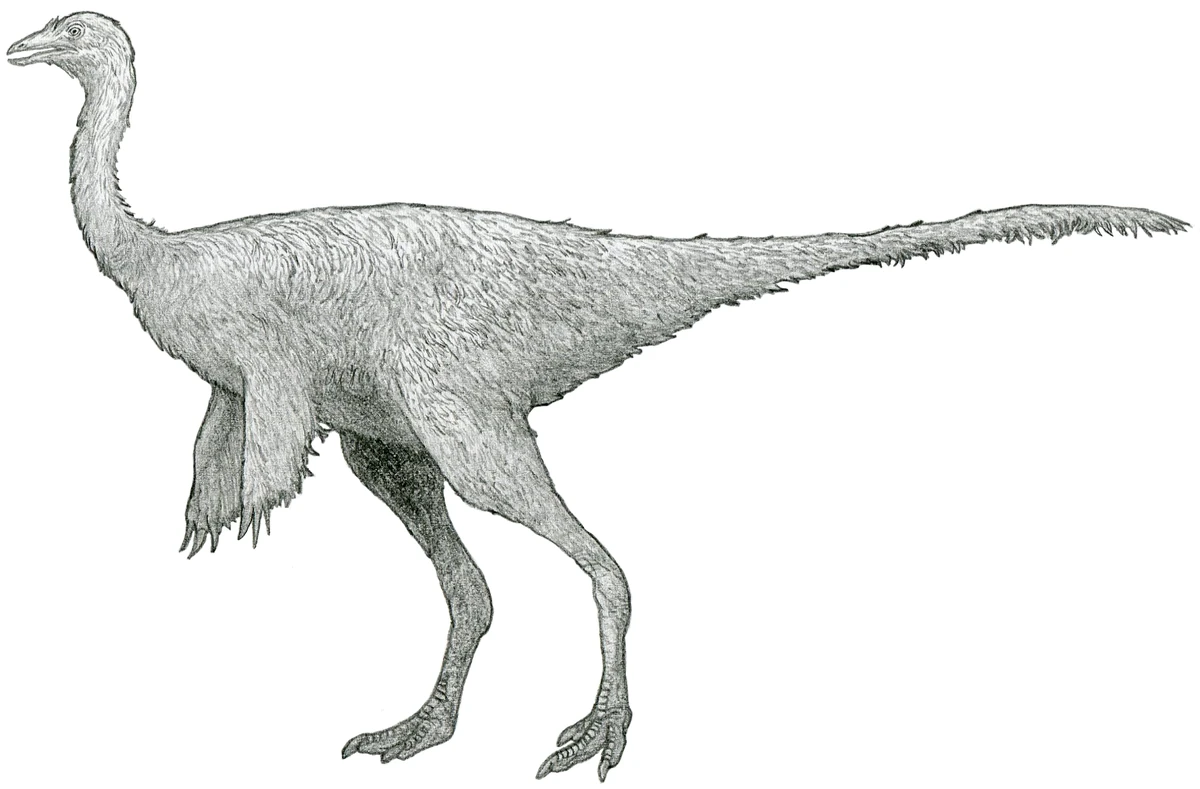 Ративат | Вымершие животные вики | Fandom