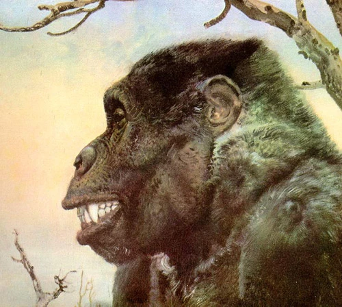 Проконсул | Вымершие животные вики | Fandom