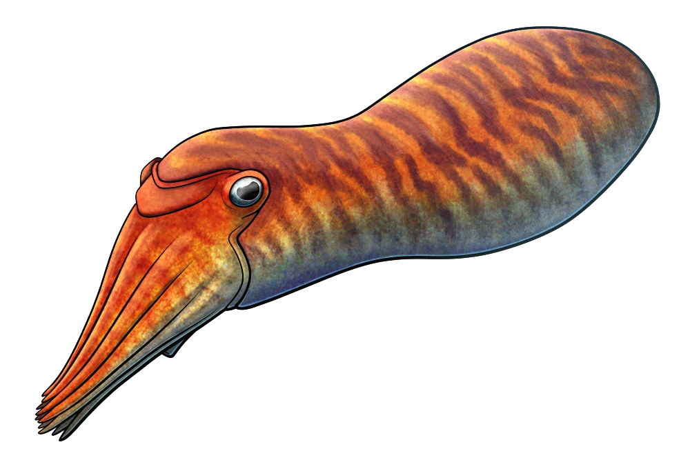 Глоссоцер | Вымершие животные вики | Fandom