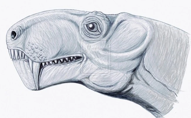 Адметофоней | Вымершие животные вики | Fandom