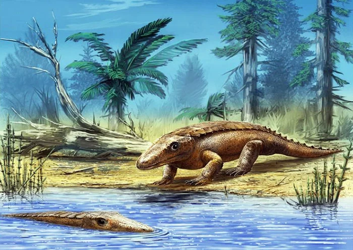 Хрониозух | Вымершие животные вики | Fandom