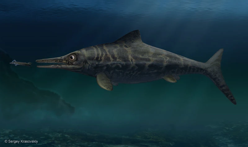 Ундорозавр | Вымершие животные вики | Fandom