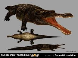 Сюнозух | Вымершие животные вики | Fandom