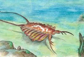 Керигмахела | Вымершие животные вики | Fandom