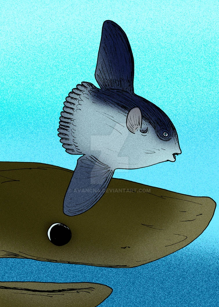 Категория:Луны-рыбы | Вымершие животные вики | Fandom