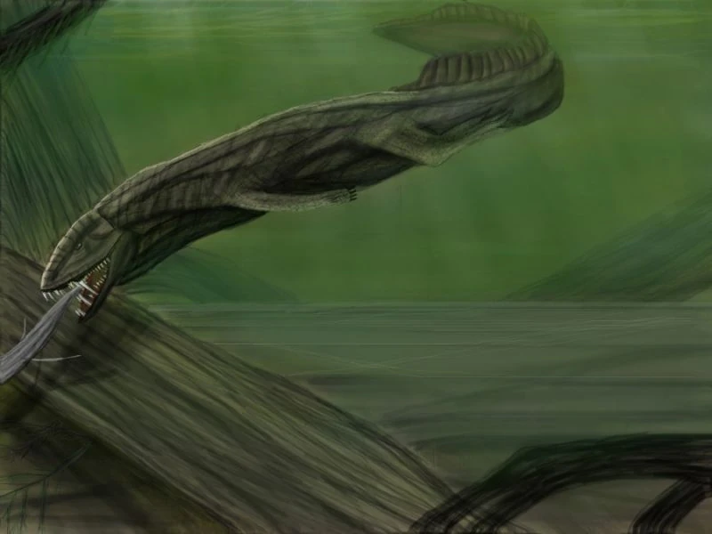 Ванклевея | Вымершие животные вики | Fandom