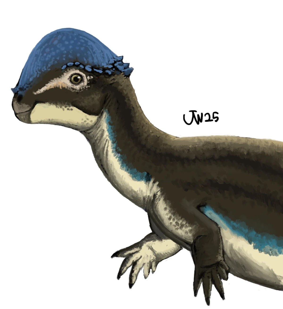 Завацефал | Вымершие животные вики | Fandom