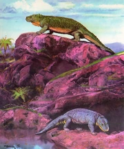 Диадект | Вымершие животные вики | Fandom