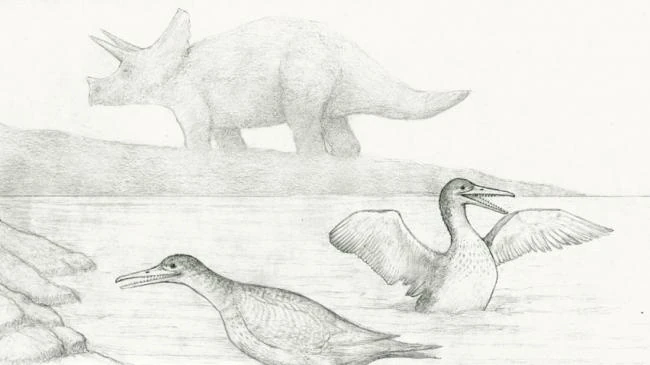 Бродавис | Вымершие животные вики | Fandom