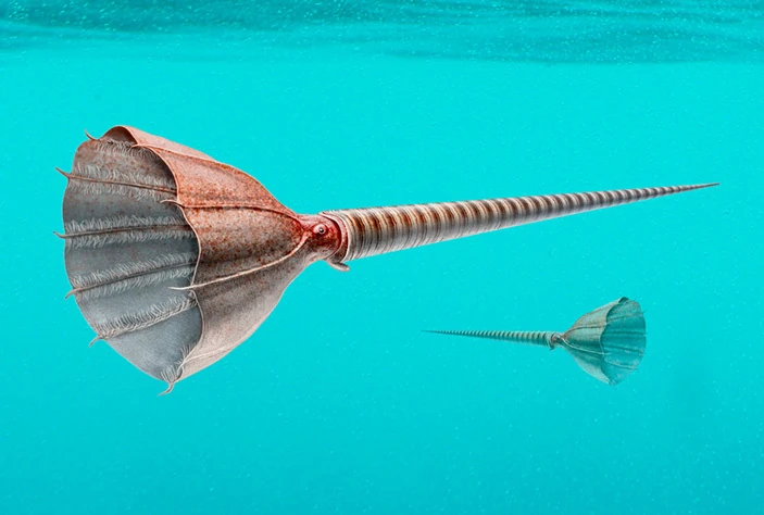 Эндоцерас | Вымершие животные вики | Fandom