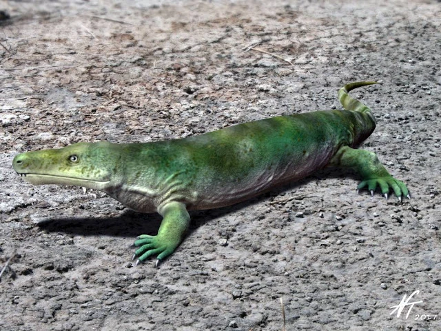 Лимносцелис | Вымершие животные вики | Fandom