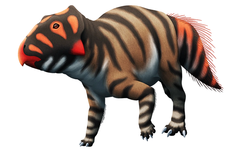 Преноцератопс | Вымершие животные вики | Fandom