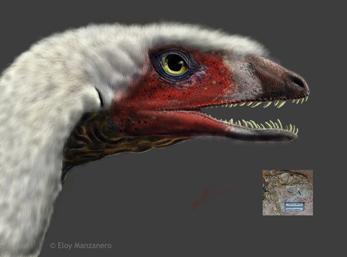 Пангураптор | Вымершие животные вики | Fandom