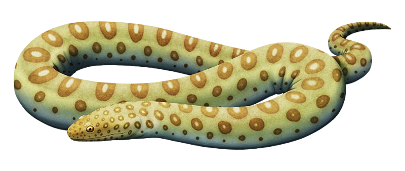 Летиск | Вымершие животные вики | Fandom