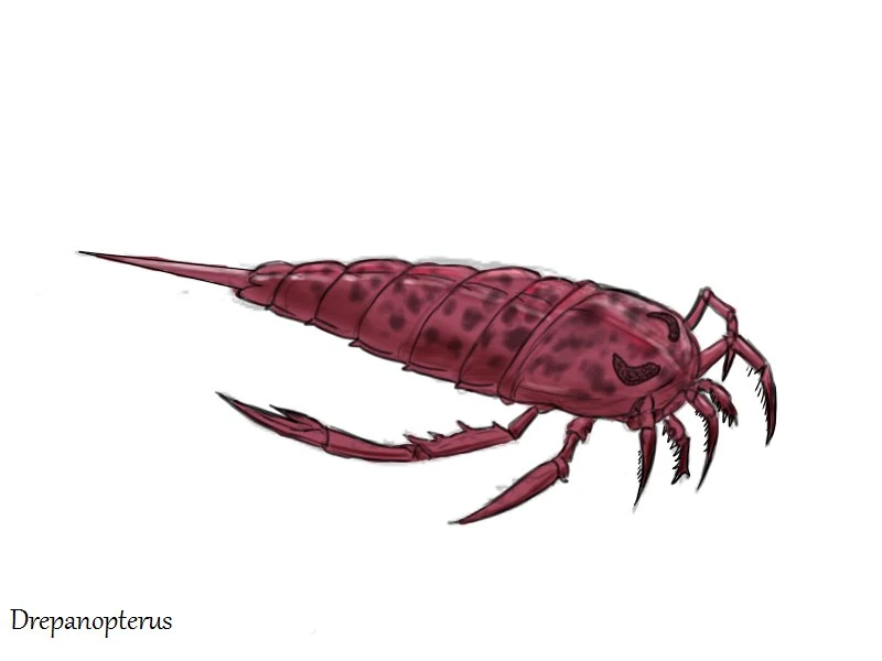 Дрепаноптер | Вымершие животные вики | Fandom
