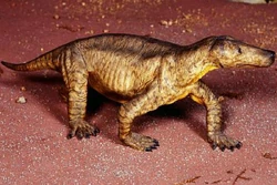 Процинозух | Вымершие животные вики | Fandom