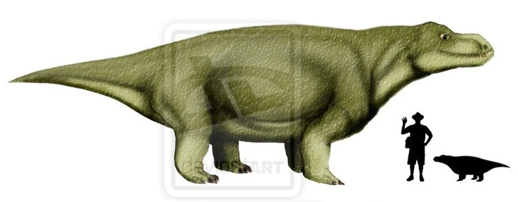 Димакродон | Вымершие животные вики | Fandom