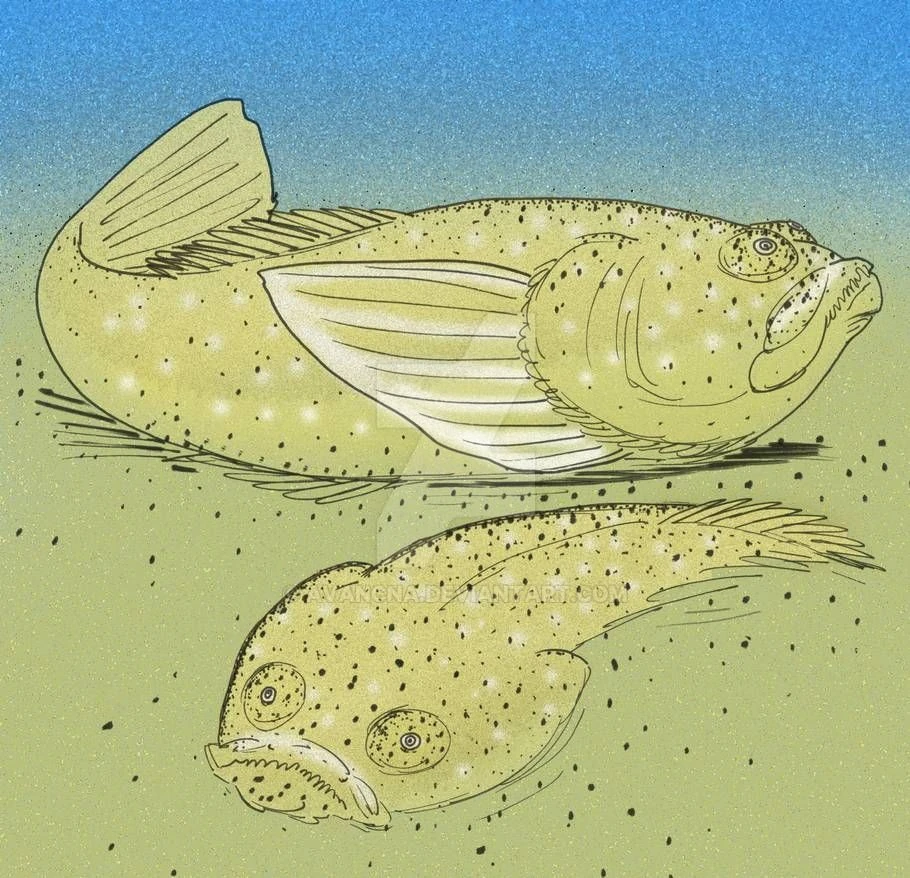 Astroscopus countermani | Вымершие животные вики | Fandom