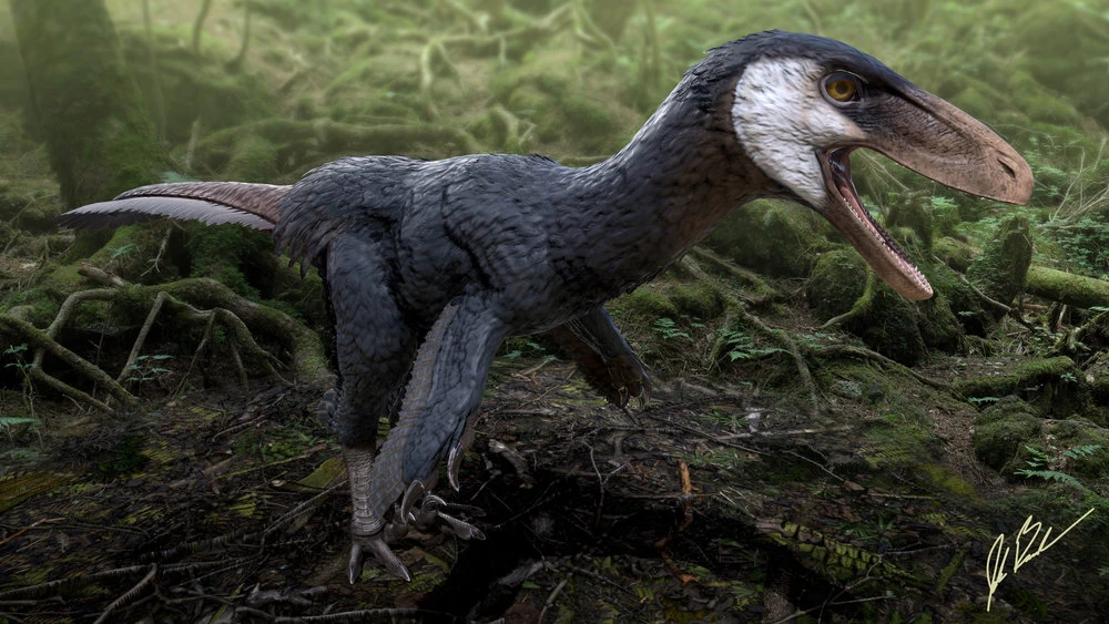 Пектинодон | Вымершие животные вики | Fandom