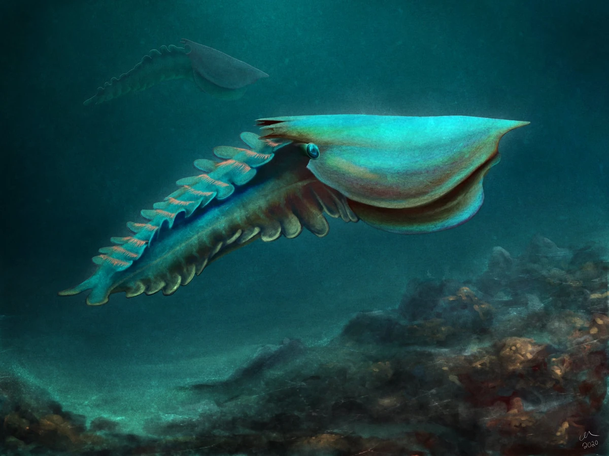 Пахвантия | Вымершие животные вики | Fandom