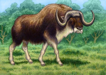 Бутерий | Вымершие животные вики | Fandom