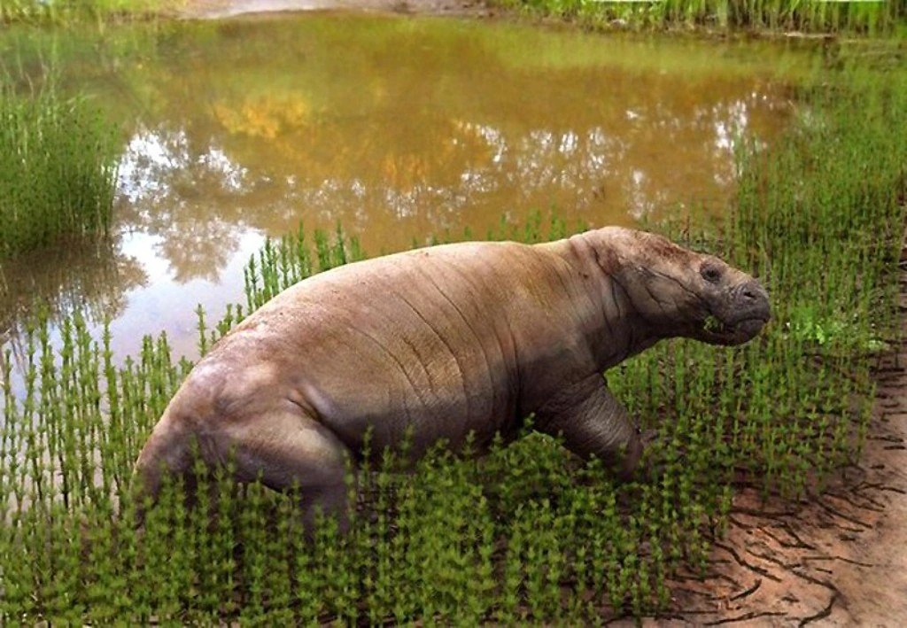 Австралобарбар | Вымершие животные вики | Fandom