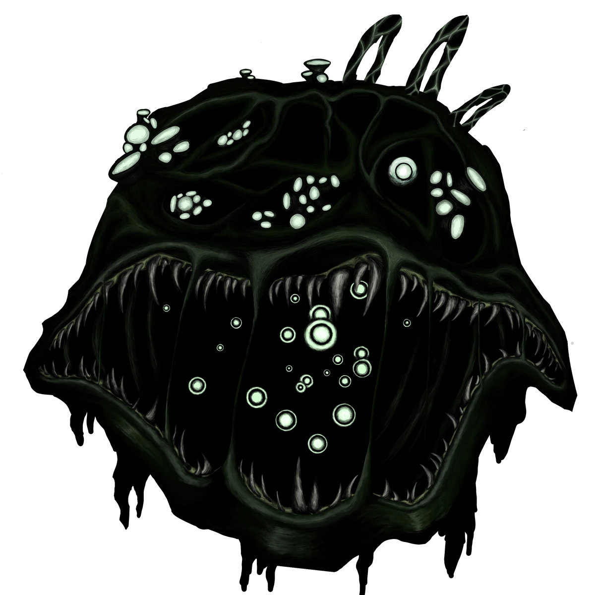 The Acropora | Pressure Ideas Wiki | Fandom