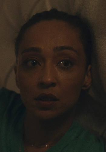 Barbara Sabich | Presumed Innocent Wiki | Fandom