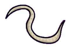 Necro Worms | Pretty Blood Wiki | Fandom