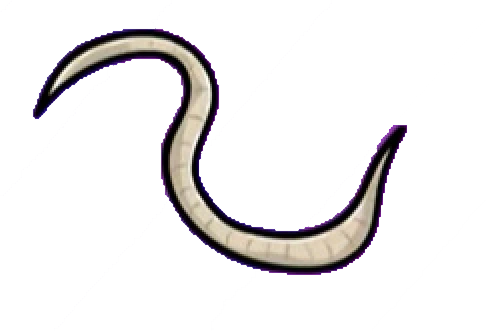 Necro Worms | Pretty Blood Wiki | Fandom