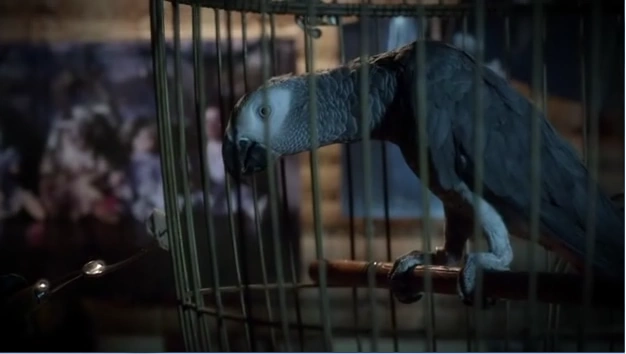 Tippi | Wiki Pretty Little Liars | Fandom