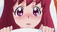 HCPC25/Image Gallery | Pretty Cure Wiki | Fandom