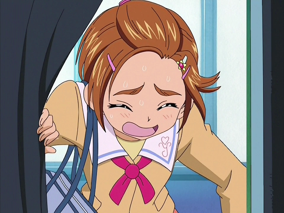 FwPCSS37/Image Gallery | Pretty Cure Wiki | Fandom