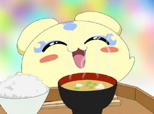 Mepple/Image Gallery | Pretty Cure Wiki | Fandom