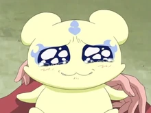 Mepple/Image Gallery | Pretty Cure Wiki | Fandom