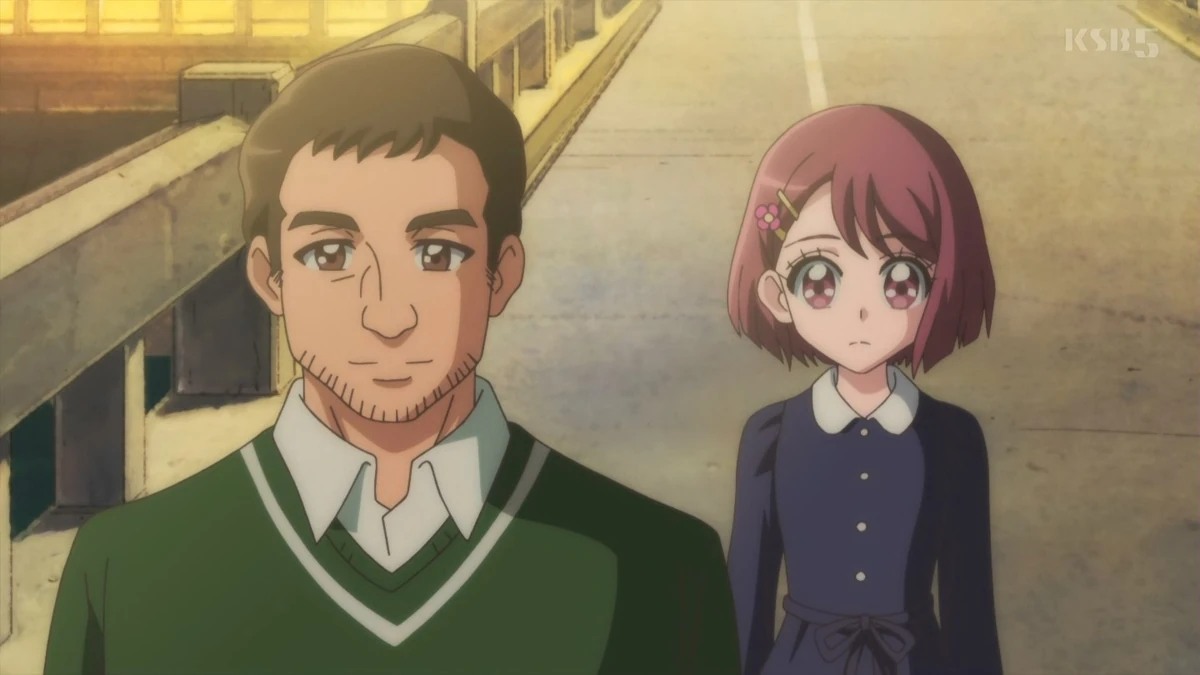 HGPC33 | Pretty Cure Wiki | Fandom