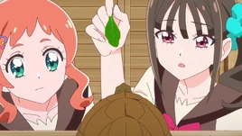 WPC08 | Pretty Cure Wiki | Fandom