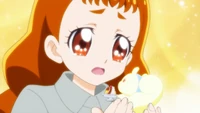 Crystal Animals | Pretty Cure Wiki | Fandom
