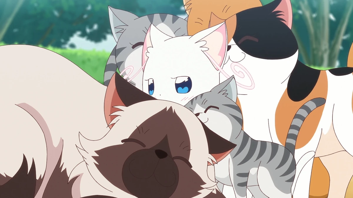 WPC34 | Pretty Cure Wiki | Fandom