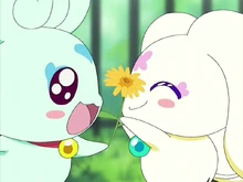 Choppy/Image Gallery | Pretty Cure Wiki | Fandom